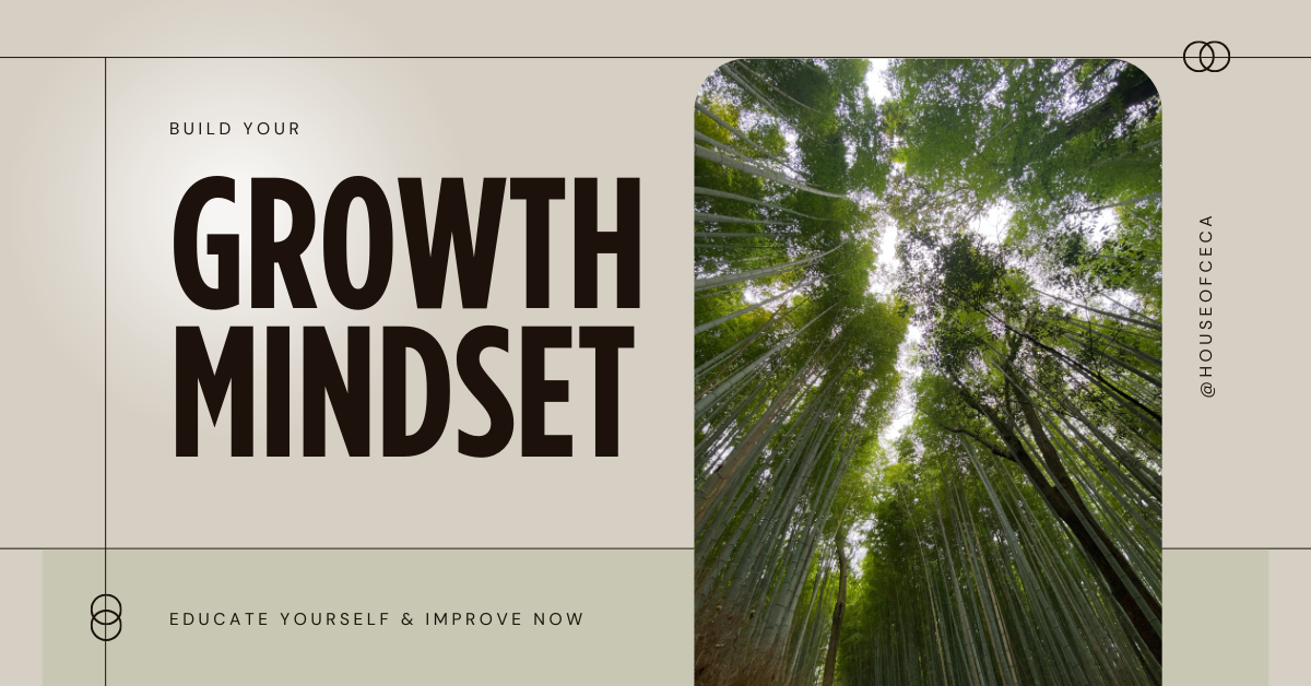 Create the #1 Growth Mindset You Need: Learn Anything & Become Unstoppable